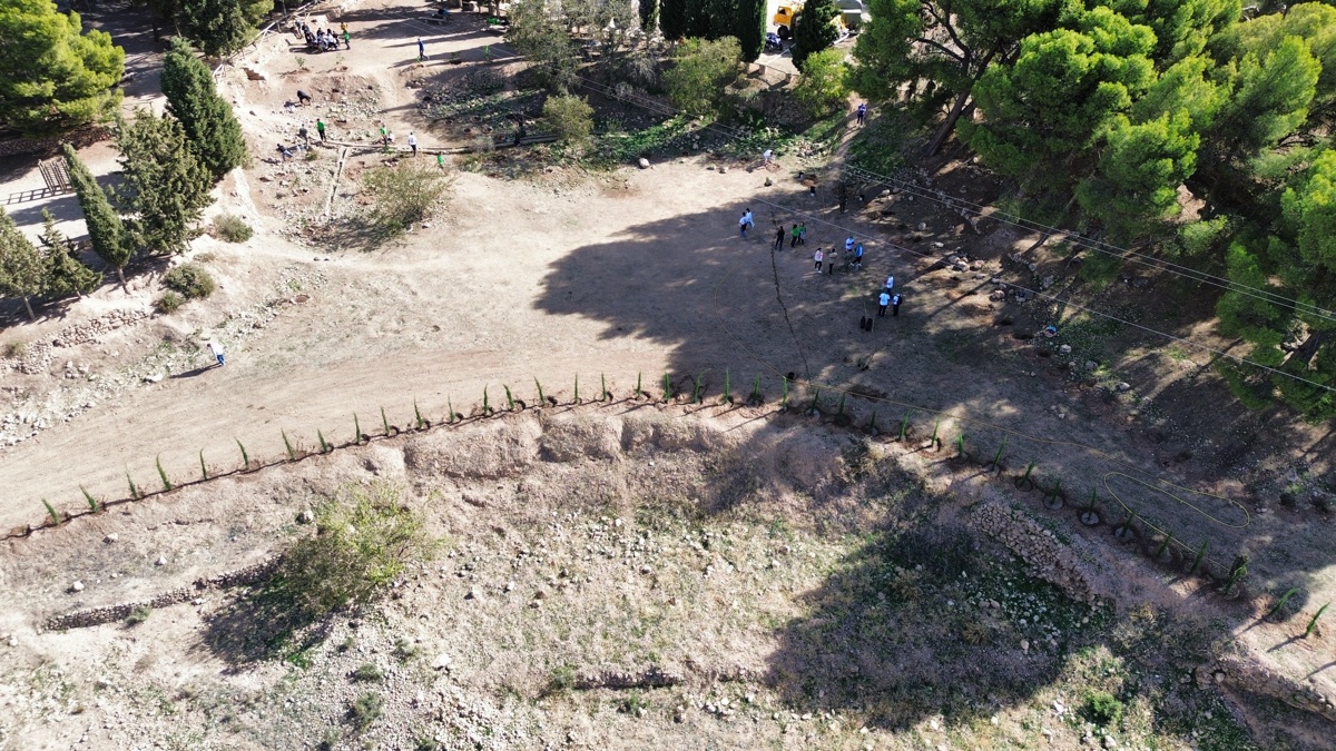 Primeros pasos para la recuperación del laberinto en Castala | Berja ...